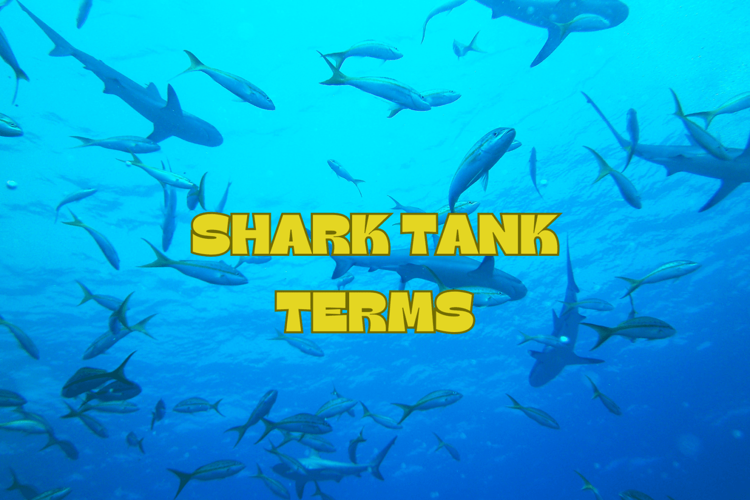 Shark Tank Terms Explained With Examples - d4commerce.com